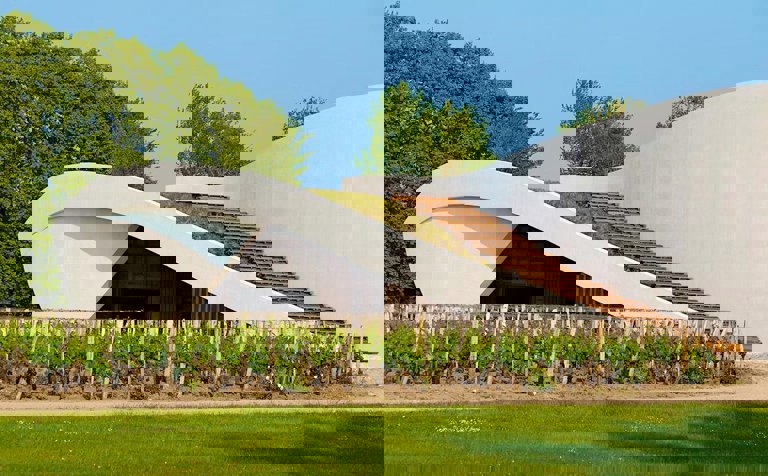 Un recorrido entre bodegas que fusionan diseño, arquitectura y ...