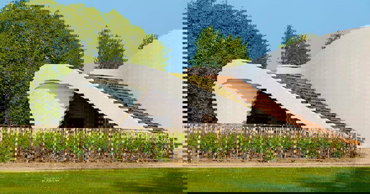 Un recorrido entre bodegas que fusionan diseño, arquitectura y ...