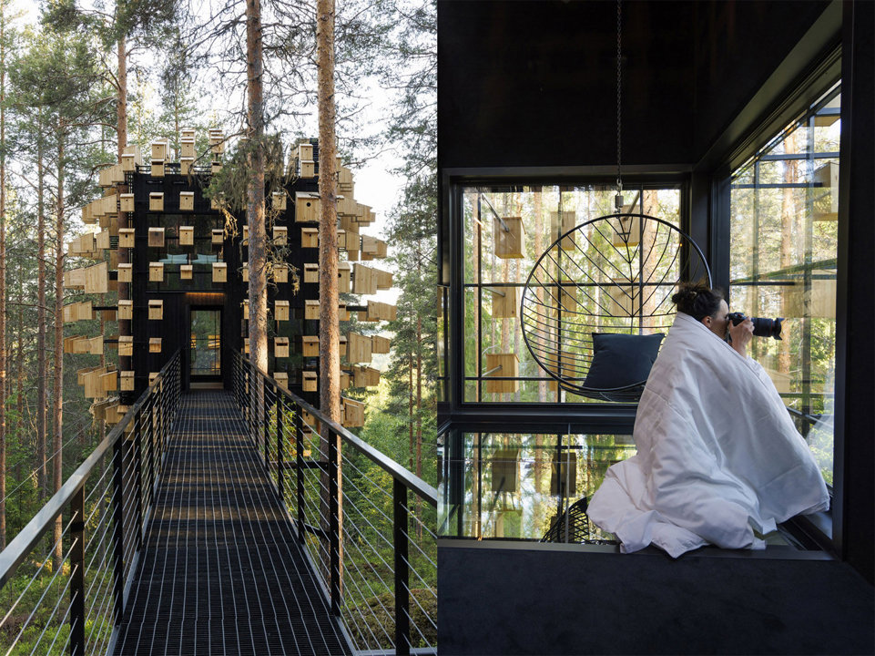 Estas son las 8 casas del árbol más impactantes del mundo: pequeñas, de ...