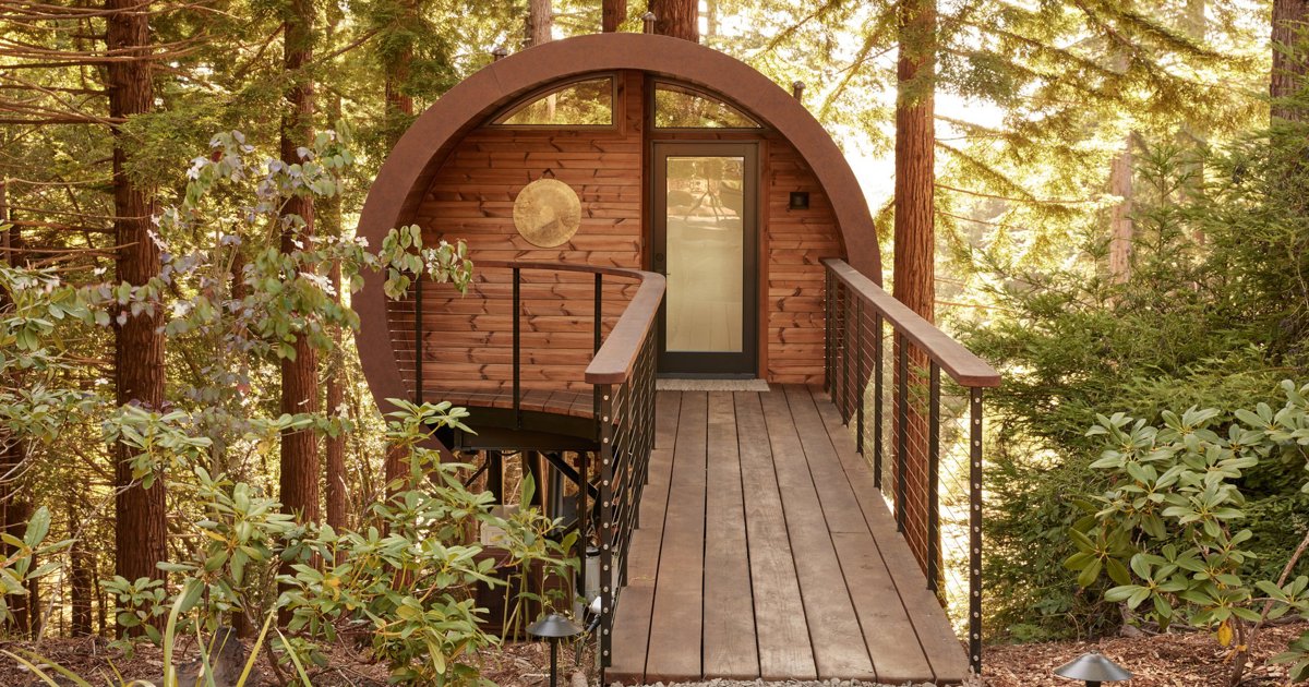 Estas son las 8 casas del árbol más impactantes del mundo: pequeñas, de ...